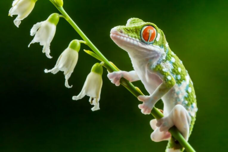 Le 1er mai, un jour férié en France et au-delà | L'info KWEZI